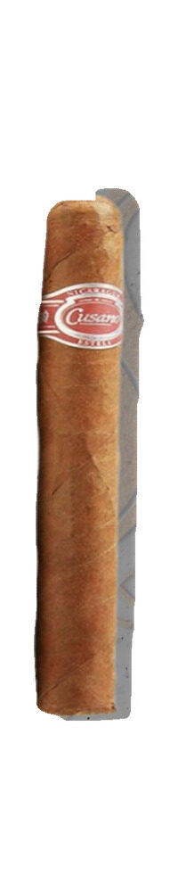 Cusano Nicaragua Esteli Gordo reviews & price - Cigar Smoker Club