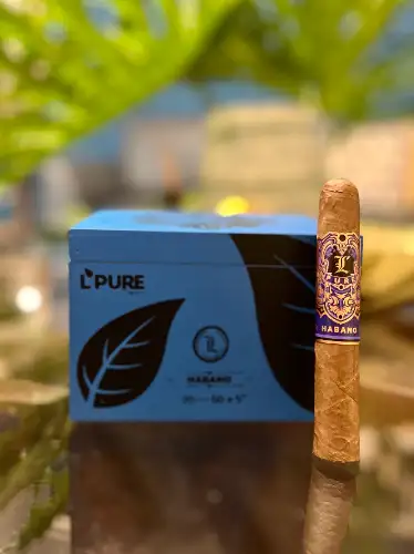 L’Pure Habano precio y opiniones - Cigar Smoker Club