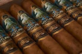 Natura Cigars The Forest Gordo precio y opiniones - Cigar Smoker Club
