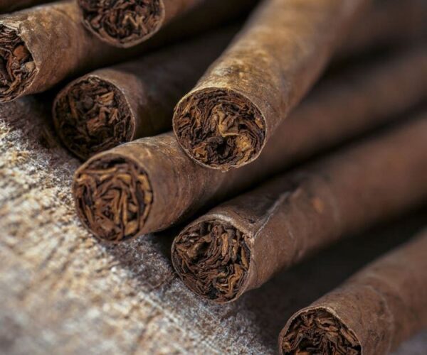 Puros para principiantes: todo lo que debes saber - Cigar Smoker Club