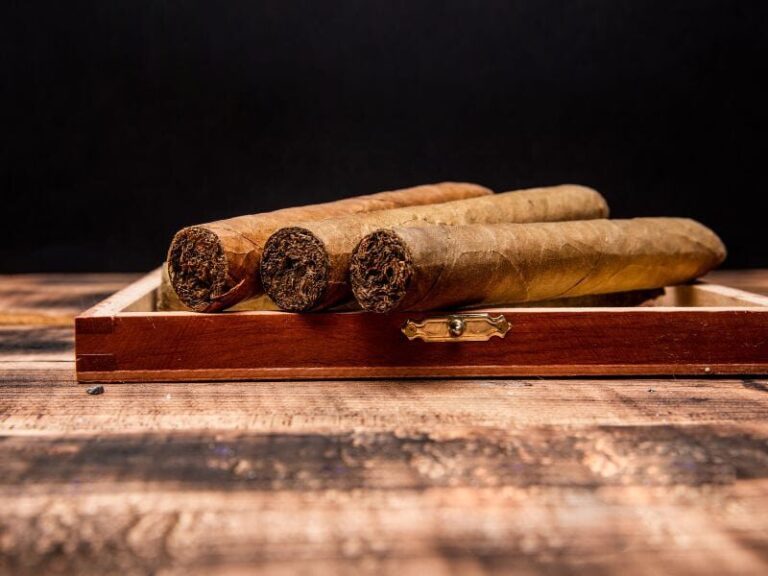How to store cigars without a humidor? Tricks & DIY alternatives to ...