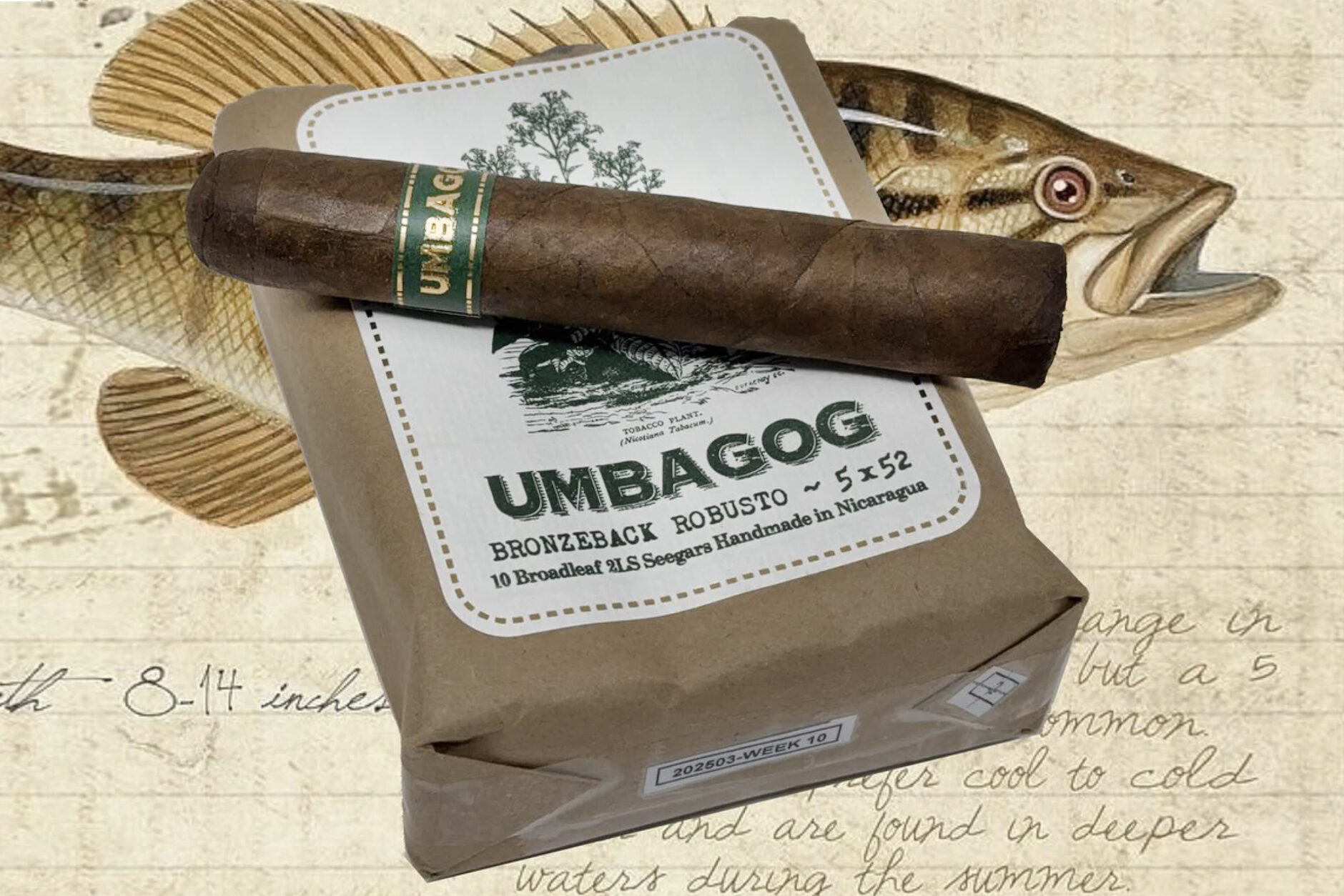 Umbagog Bronzeback Robusto: the no-nonsense cigar you need in your ...