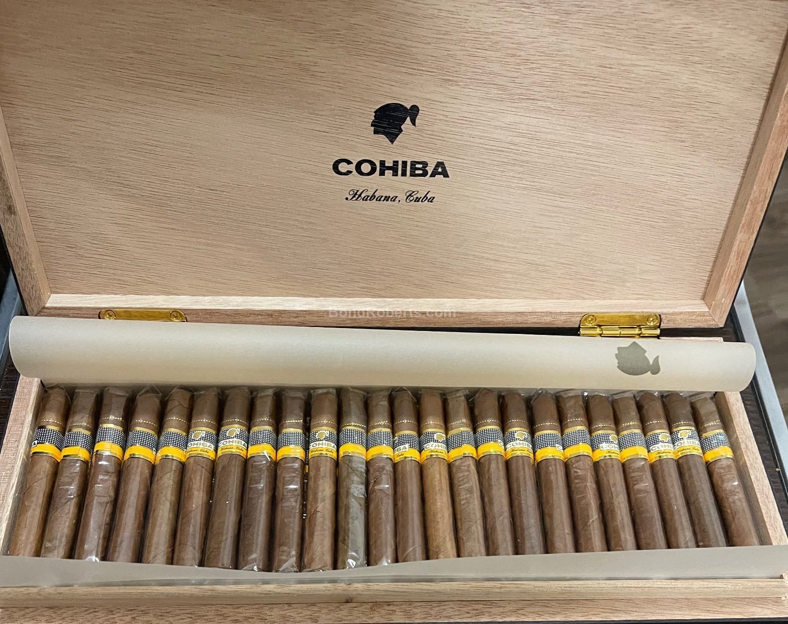 Cohiba Wide Short 50 Edición Limitada 2024: la novedad que arrasa muy ...