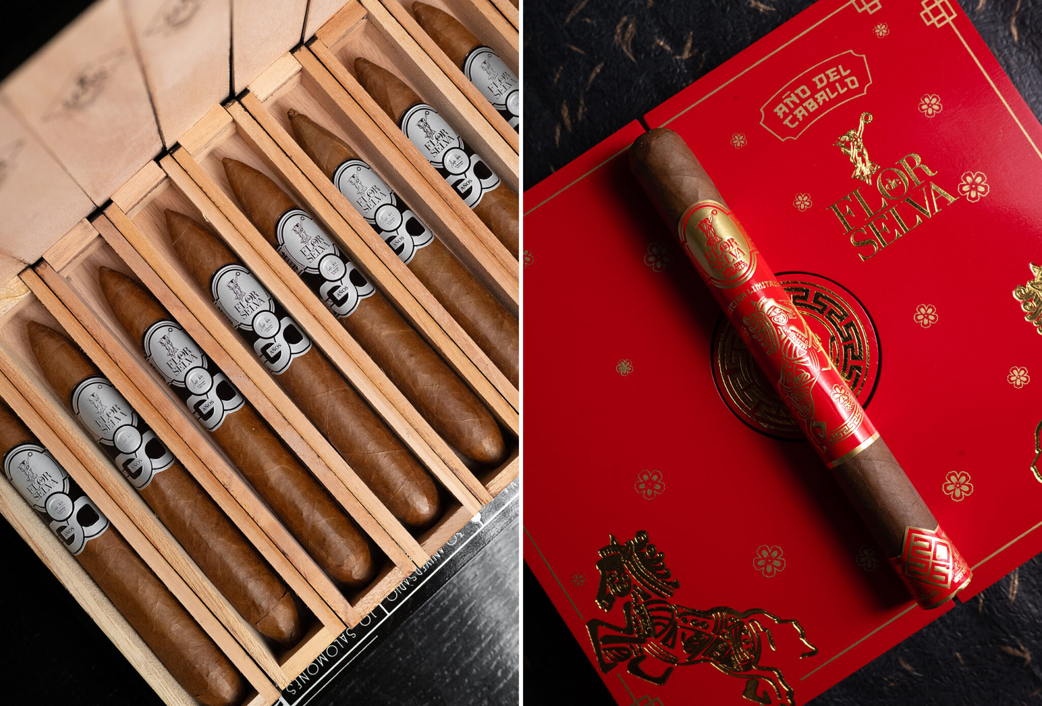 Maya Selva feiert 30 Jahre und präsentiert das Jahr des Pferdes auf der ...