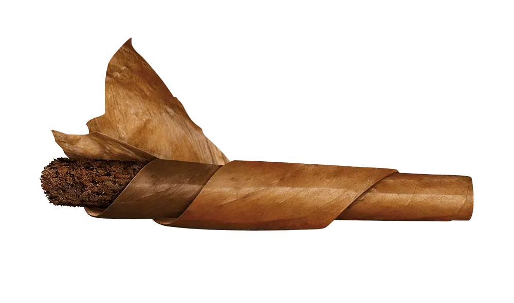 Wrapper - Cigar Smoker Club