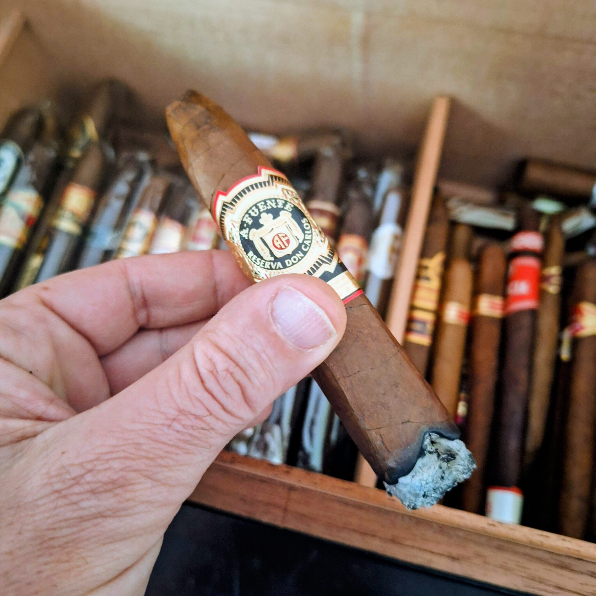 Arturo Fuente Don Carlos The Man’s 80th Eye of Shark: il sigaro ...